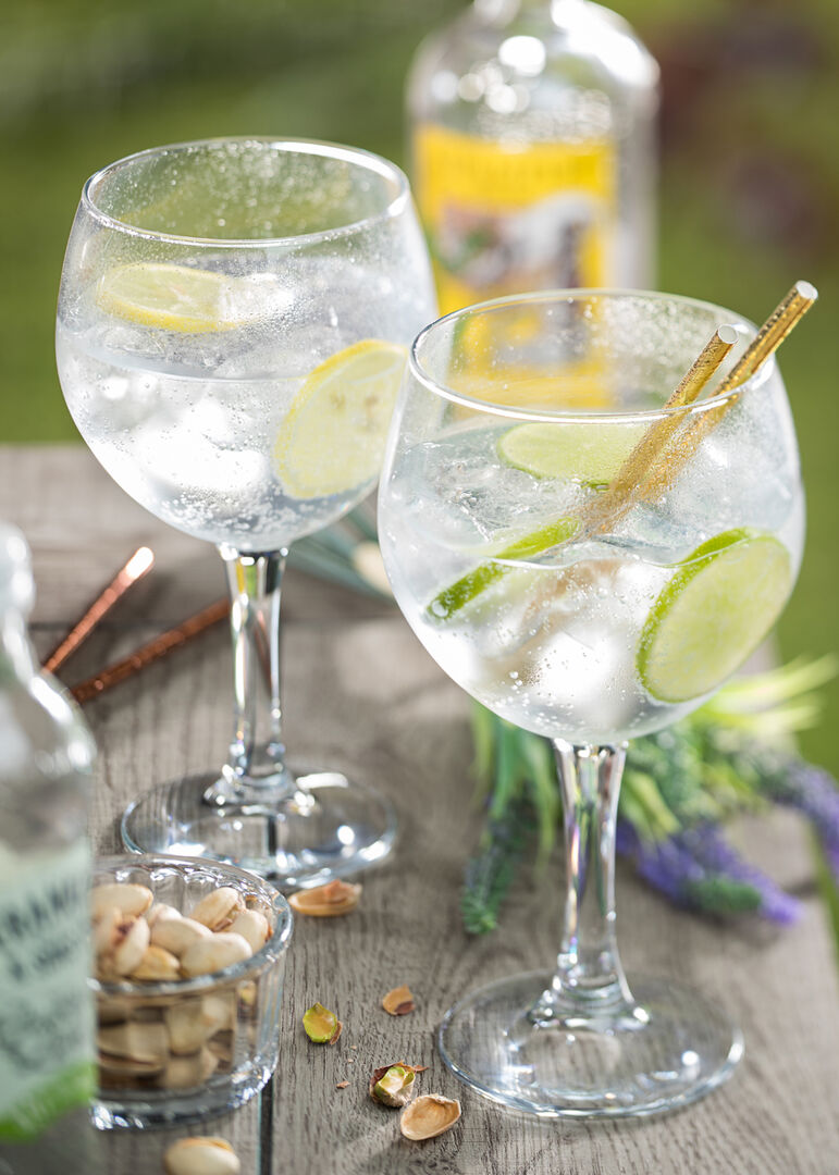 Large Gin Cocktail Balloon Goblet 22.7oz - Box of 6
